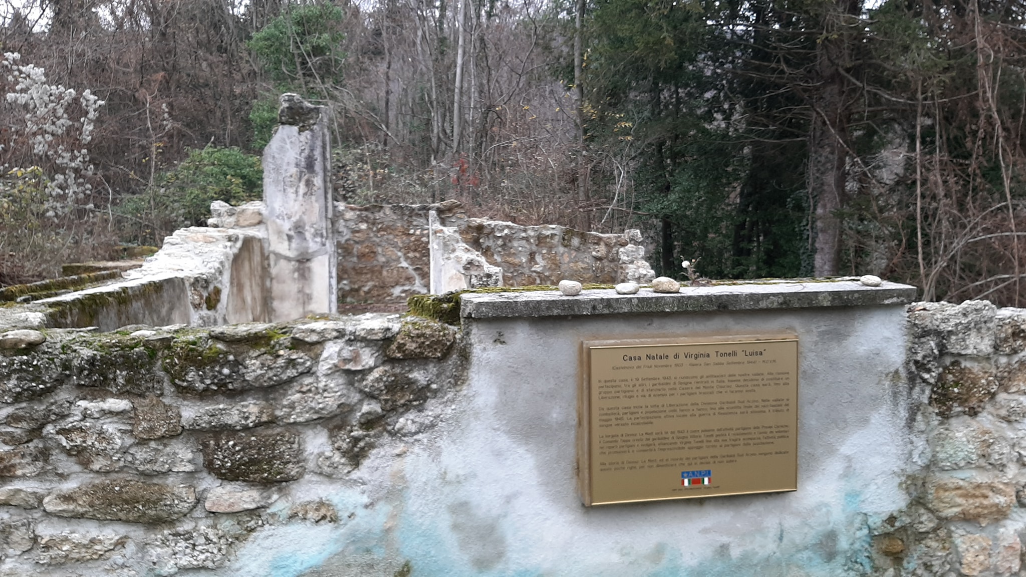 "Luisa" - Blog di Tangia